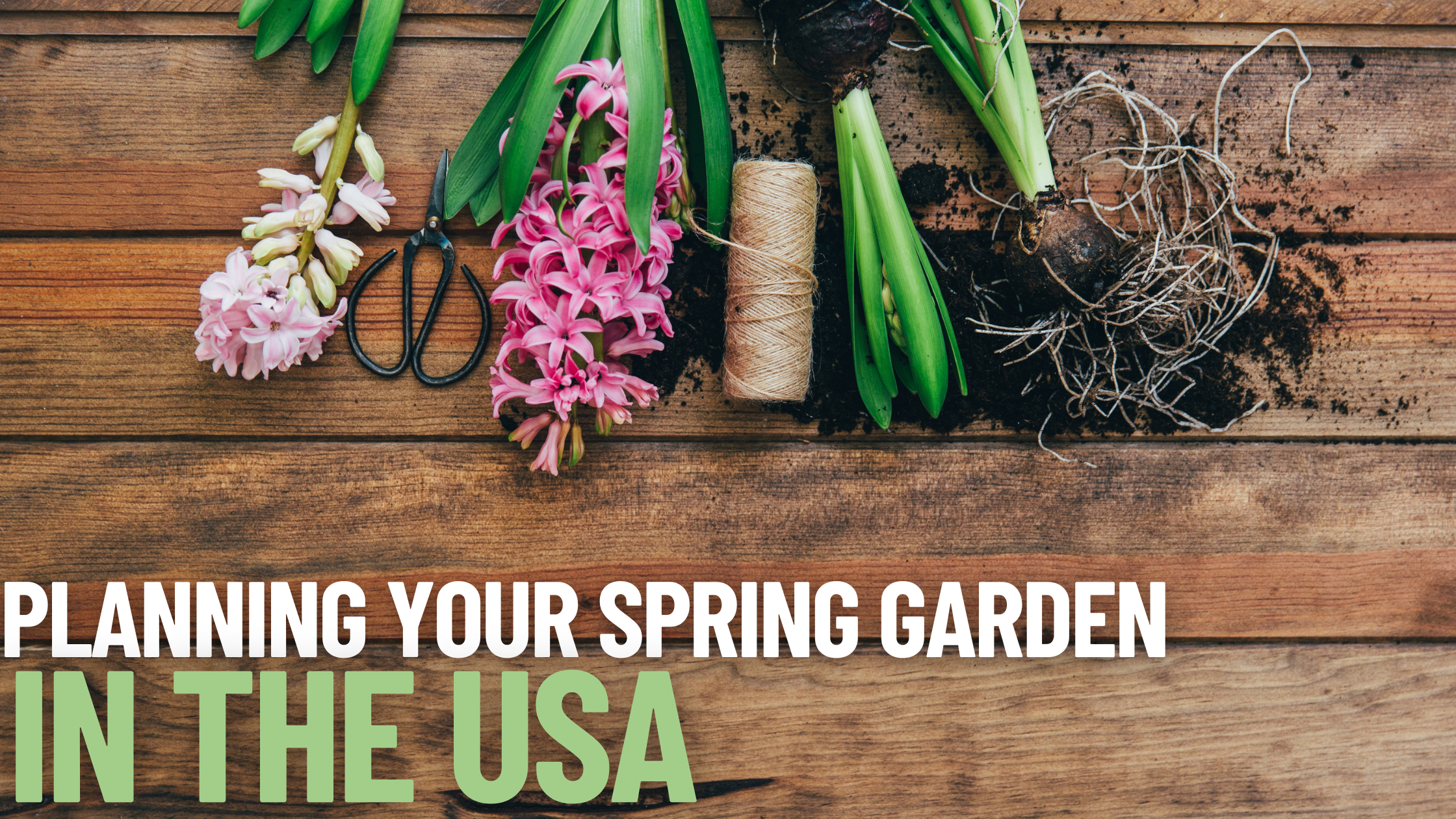 Spring Garden Planning Guide for USA Gardeners – Cedar Planters
