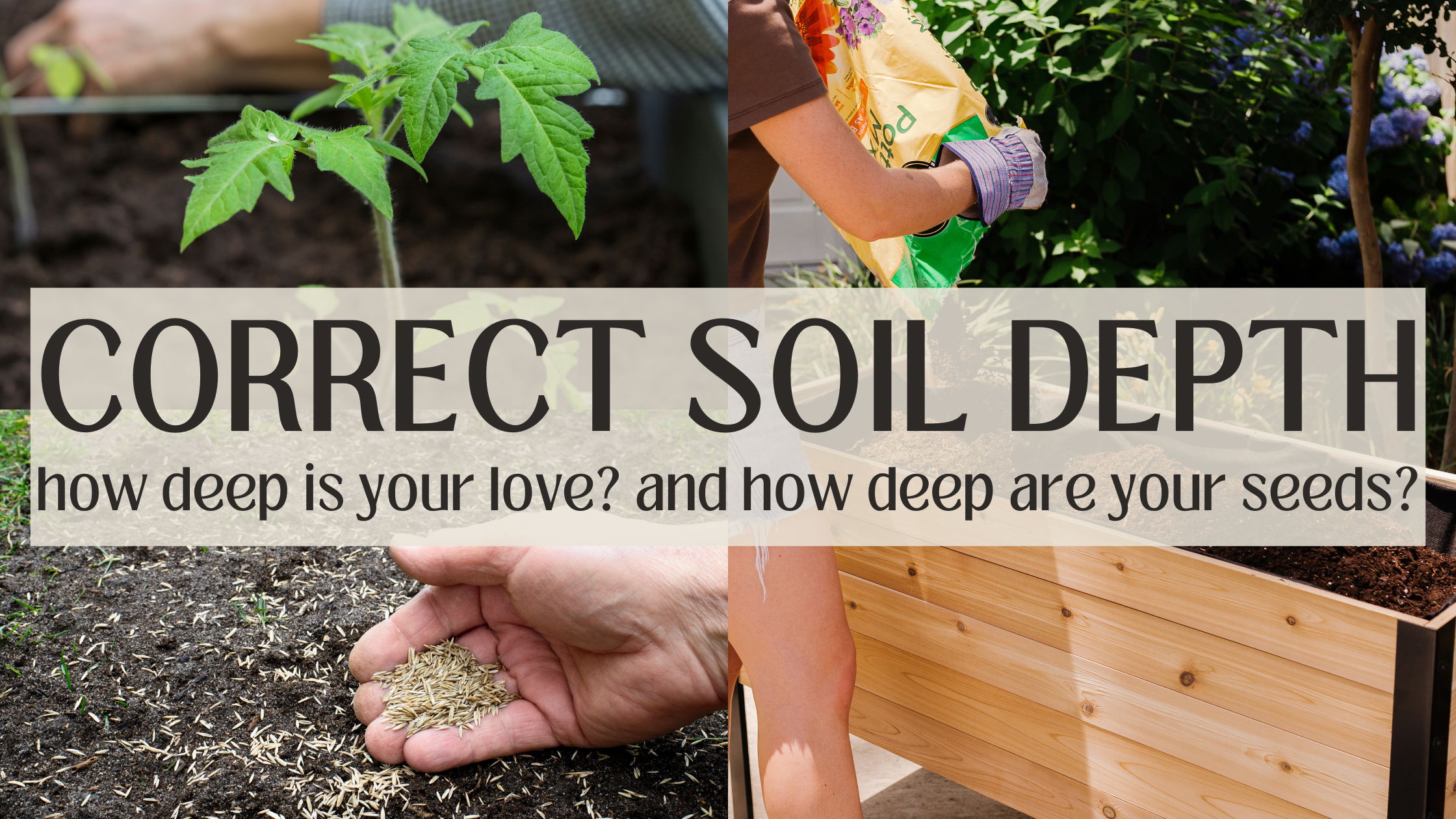 Understanding Soil Depth for Planting – Cedar Planters