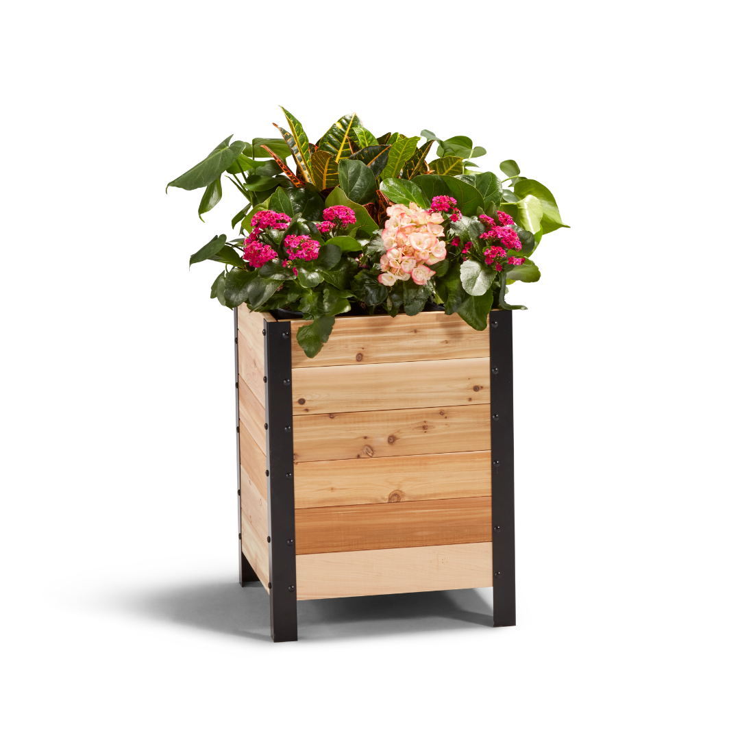 18″ x 18″ Planter Box 24" Tall – Cedar Planters