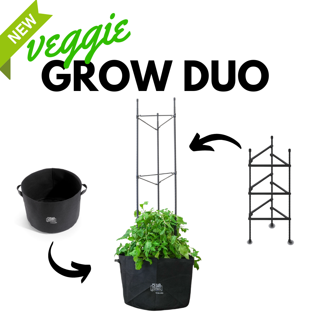 Veggie Grow Duo – Cedar Planters