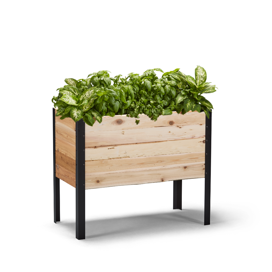 18"x36" Raised Bed | Garden Grade – Cedar Planters