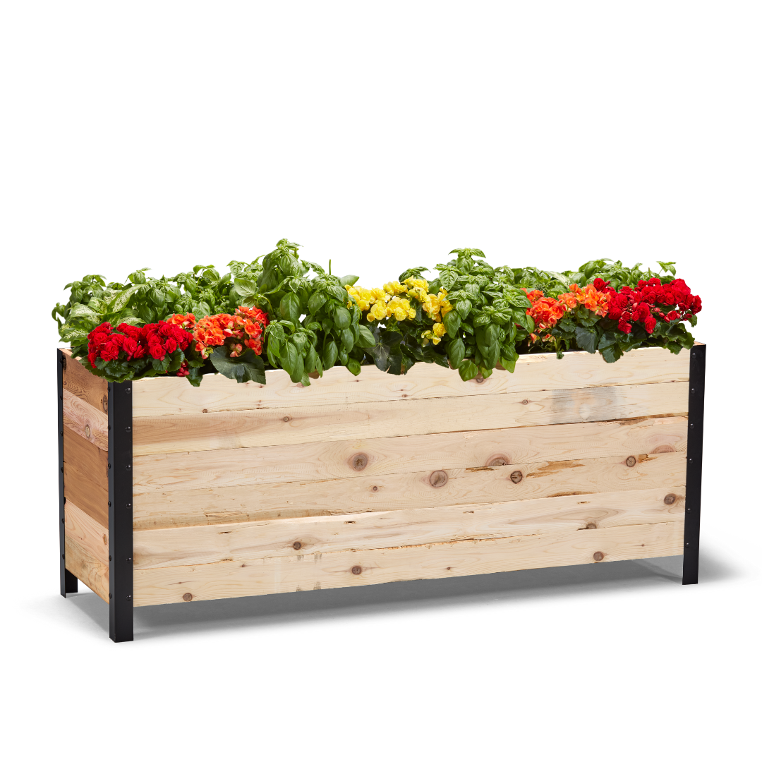 18" x 60" Planter Box - 24" TALL / Garden Grade – Cedar Planters