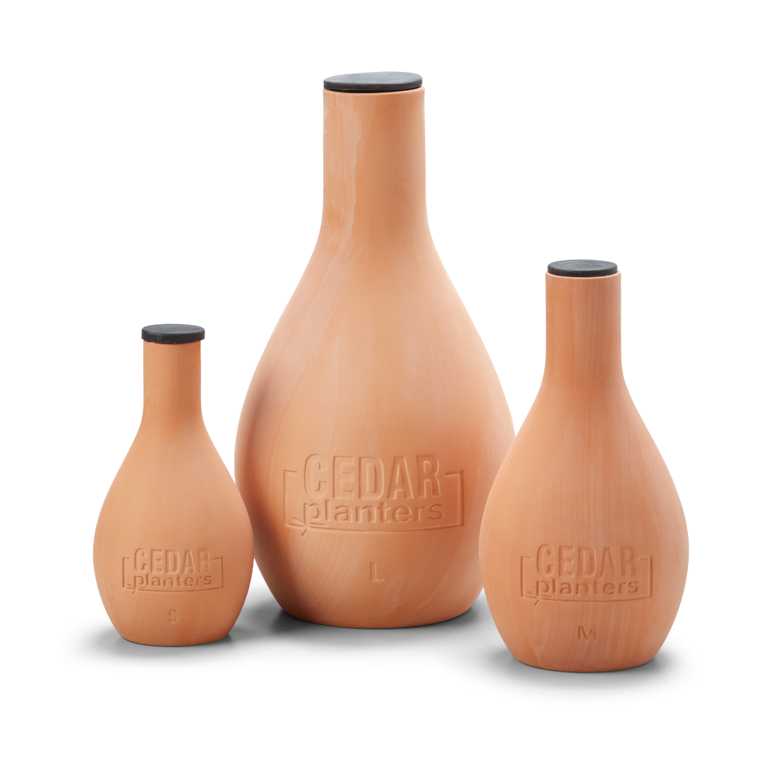 Self-Watering Clay Olla Pot – Cedar Planters